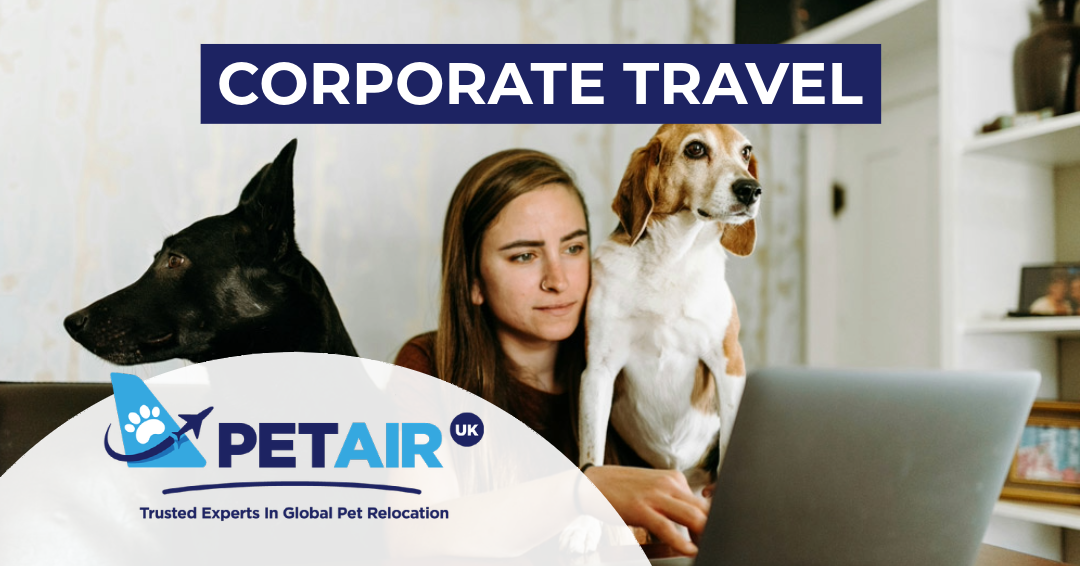 Corporate Journey | PetAir UK