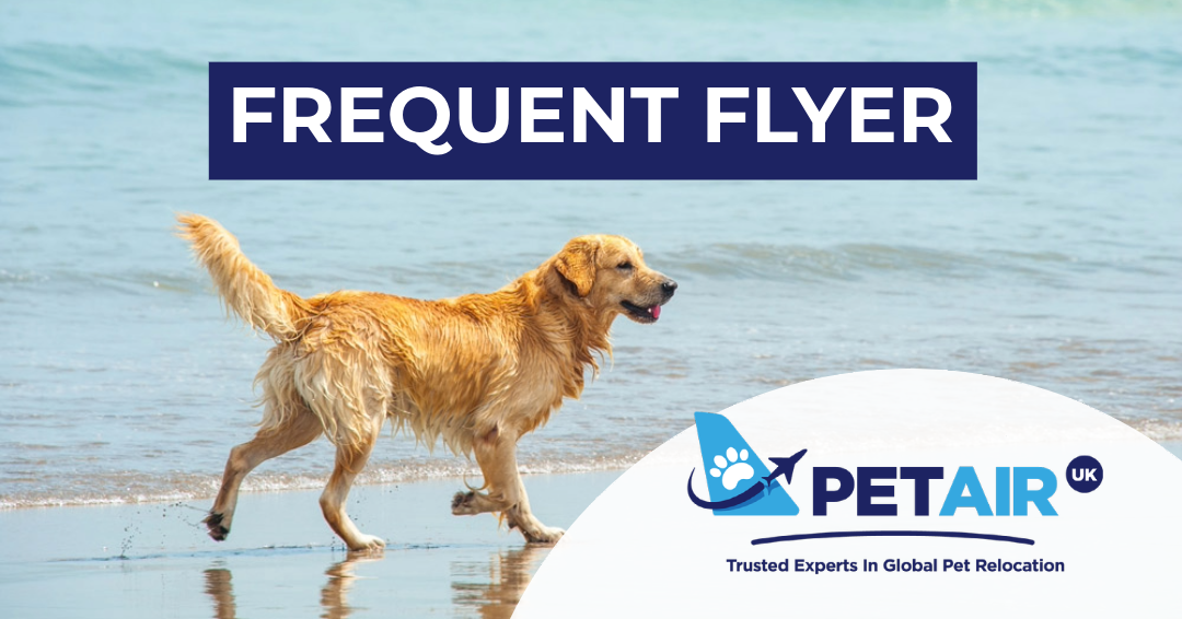 Frequent Flyer Journey | PetAir UK