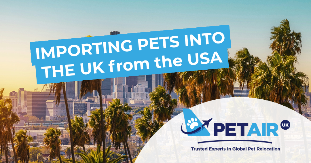 Bringing Pets to the UK from the USA | PetAir has you covered!