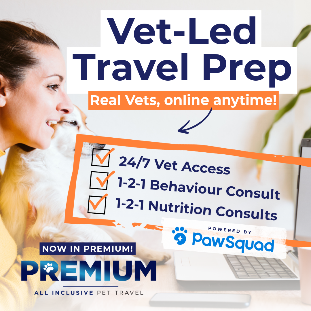 Pet Travel Made Easy! ️ PetAir UK Owned and Run By Vets – Rated Excellent