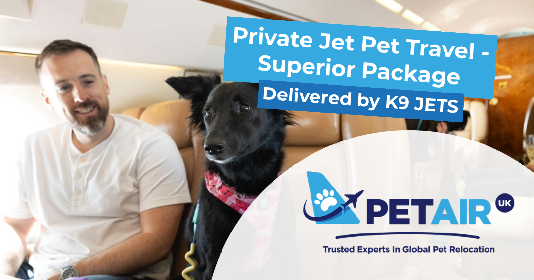 Private Jet Pet Travel | Superior In-Cabin Package | PetAir UK