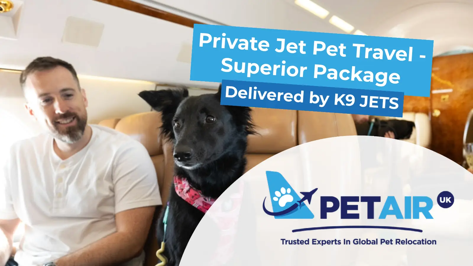 In-Cabin, Private Jet Pet Travel | Side-By-Side Flights | PetAir UK