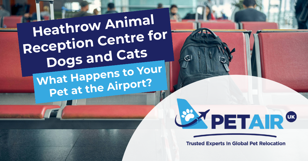 Heathrow Animal Reception Centre for Dogs and Cats | PetAir UK