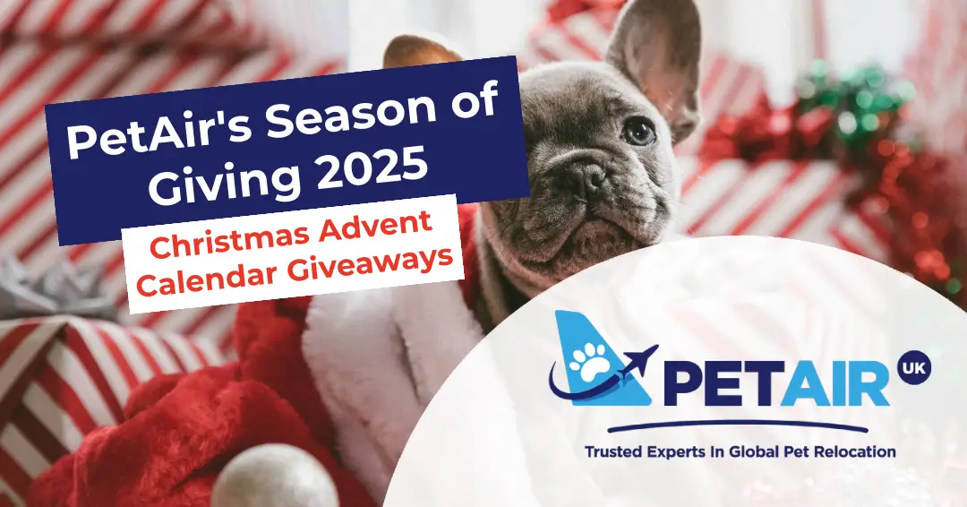 PetAir's Season of Giving 2025 | PetAir UK