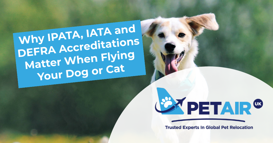 Why IPATA, IATA and DEFRA Accreditations Matter | PetAir UK