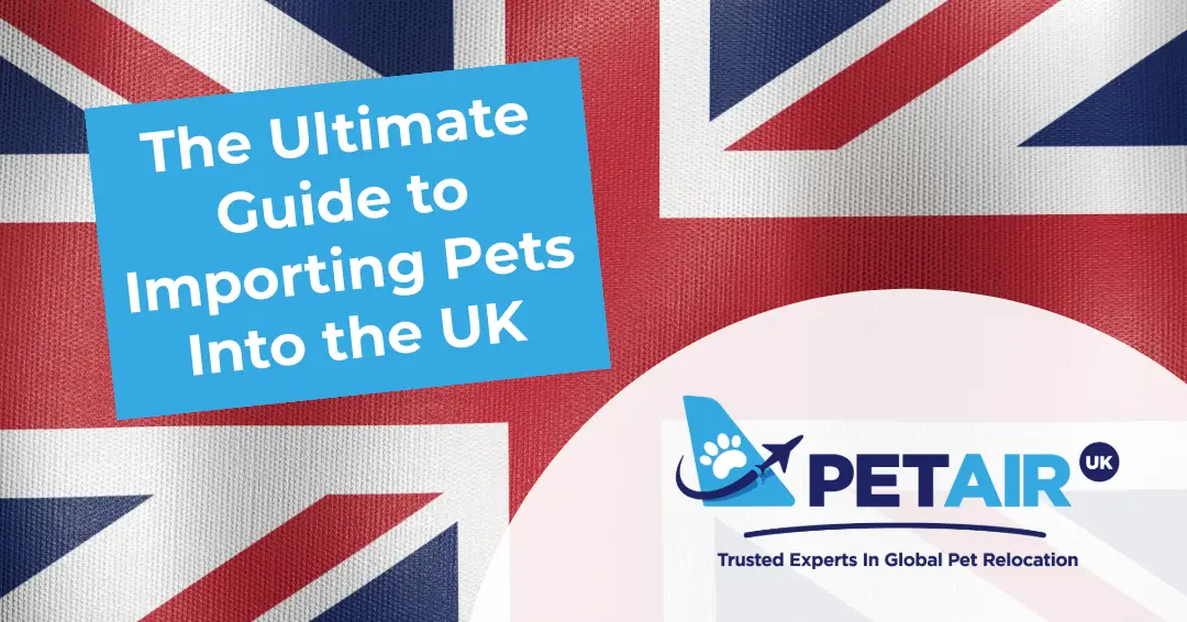 The Ultimate Guide to Importing Pets Into the UK | PetAir UK